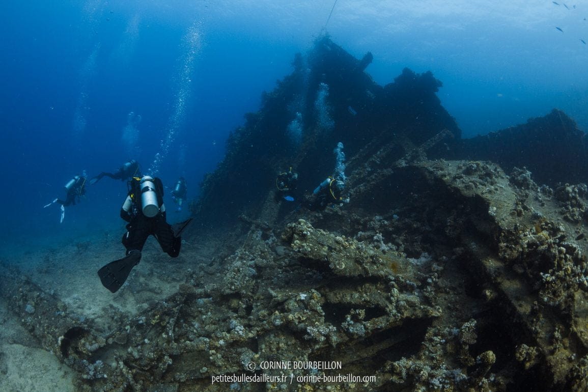 Quatre épaves spectaculaires en mer Rouge [Croisière plongée Égypte]
