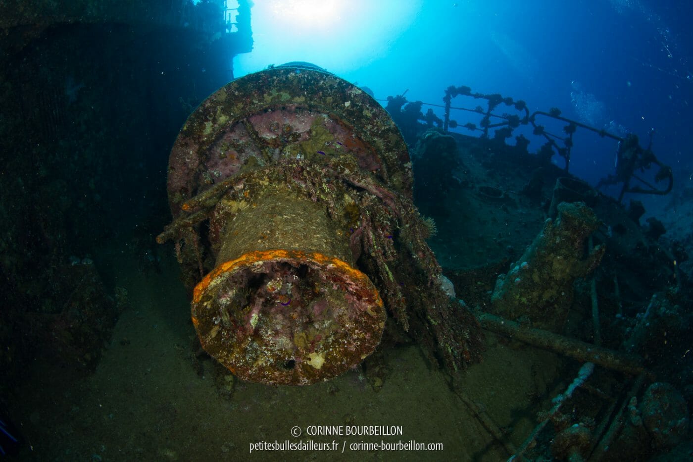 Quatre épaves spectaculaires en mer Rouge [Croisière plongée Égypte]