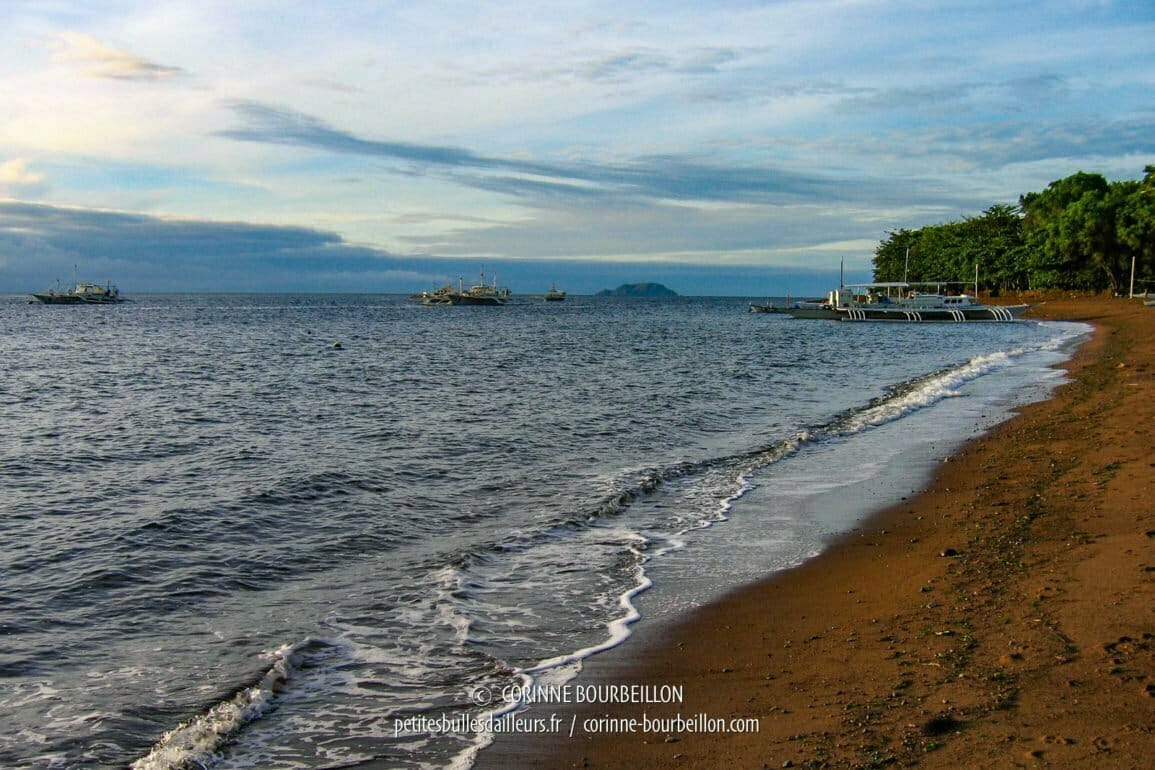 Philippines : Visayas - février 2008