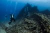 Quatre épaves spectaculaires en mer Rouge [Croisière plongée Égypte]